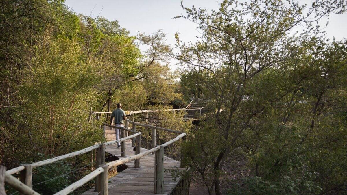 Is Botswana Safe? | Travel Advice | Discover Africa