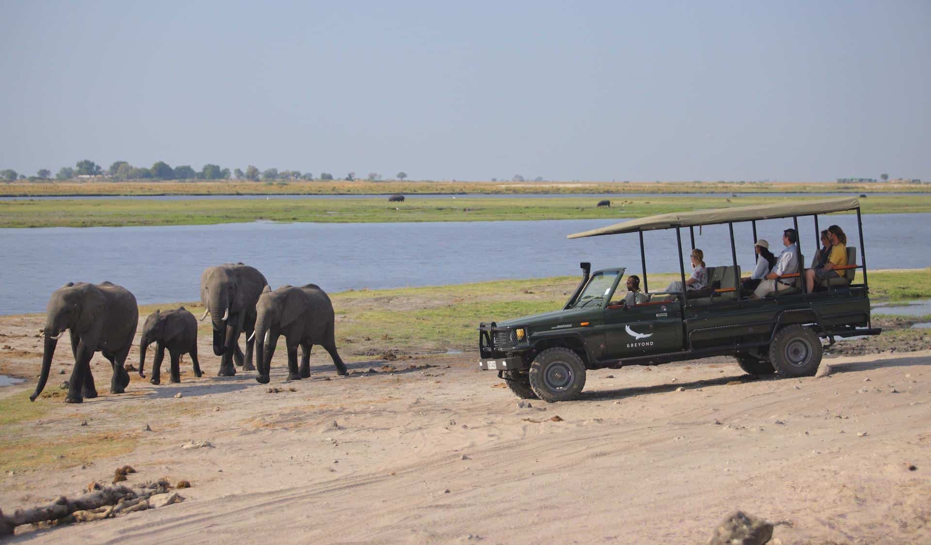 Chobe in October – Discover Africa