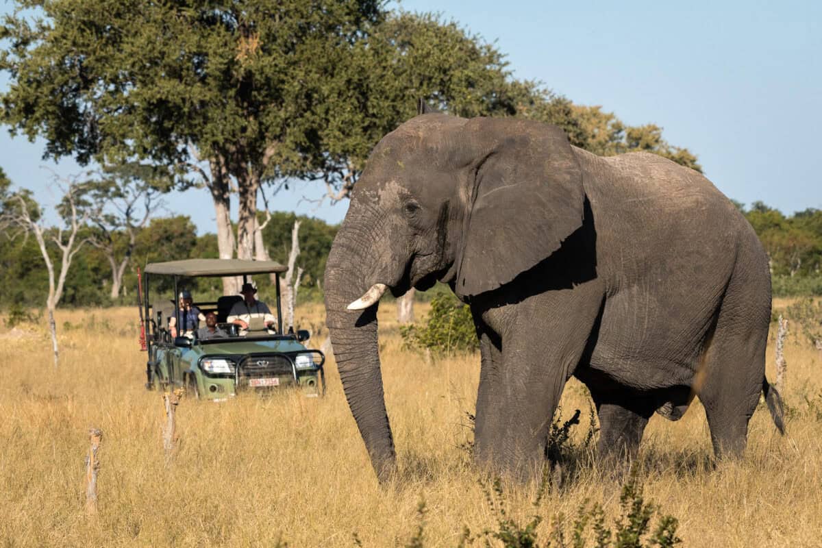 Where to Go in Hwange National Park – Discover Africa