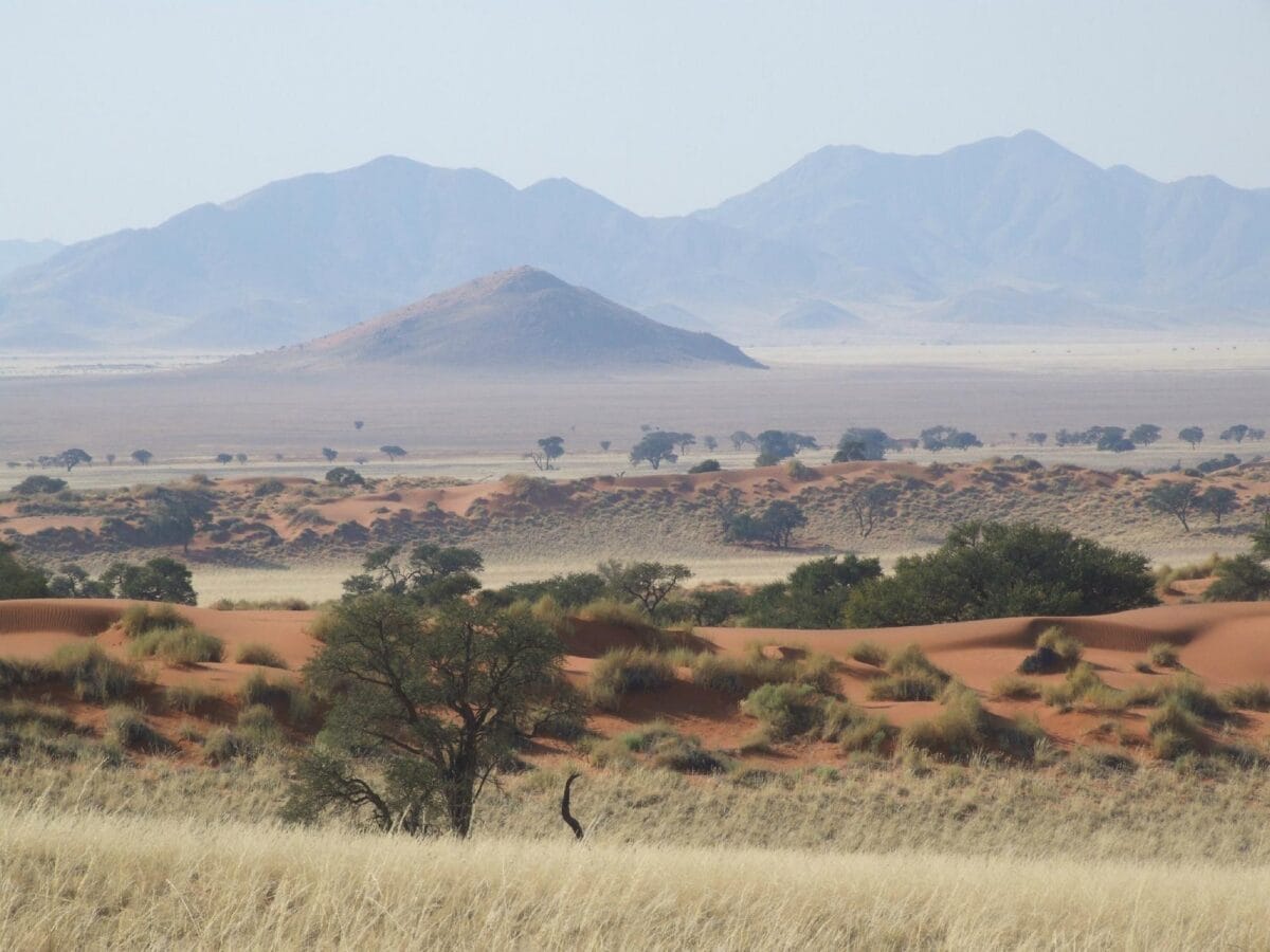 Languages of Namibia | Discover Africa
