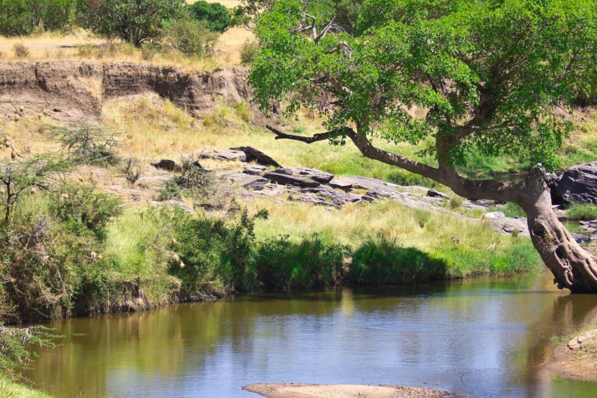 Mara River - Masai Mara Safari | Discover Africa