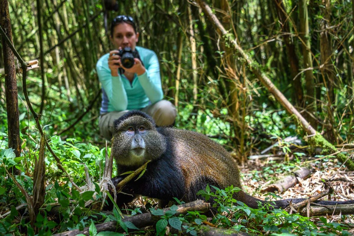 Languages in Rwanda – Discover Africa