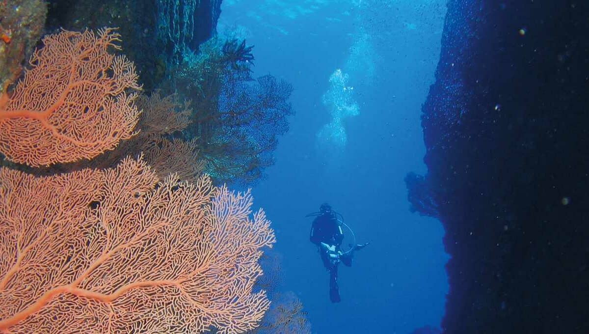 Mauritius in February – Discover Africa