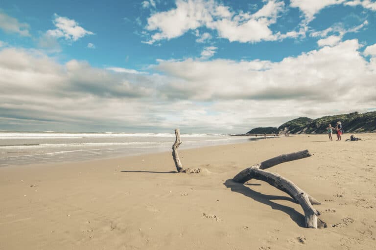 An Adventure up the Garden Route – Discover Africa