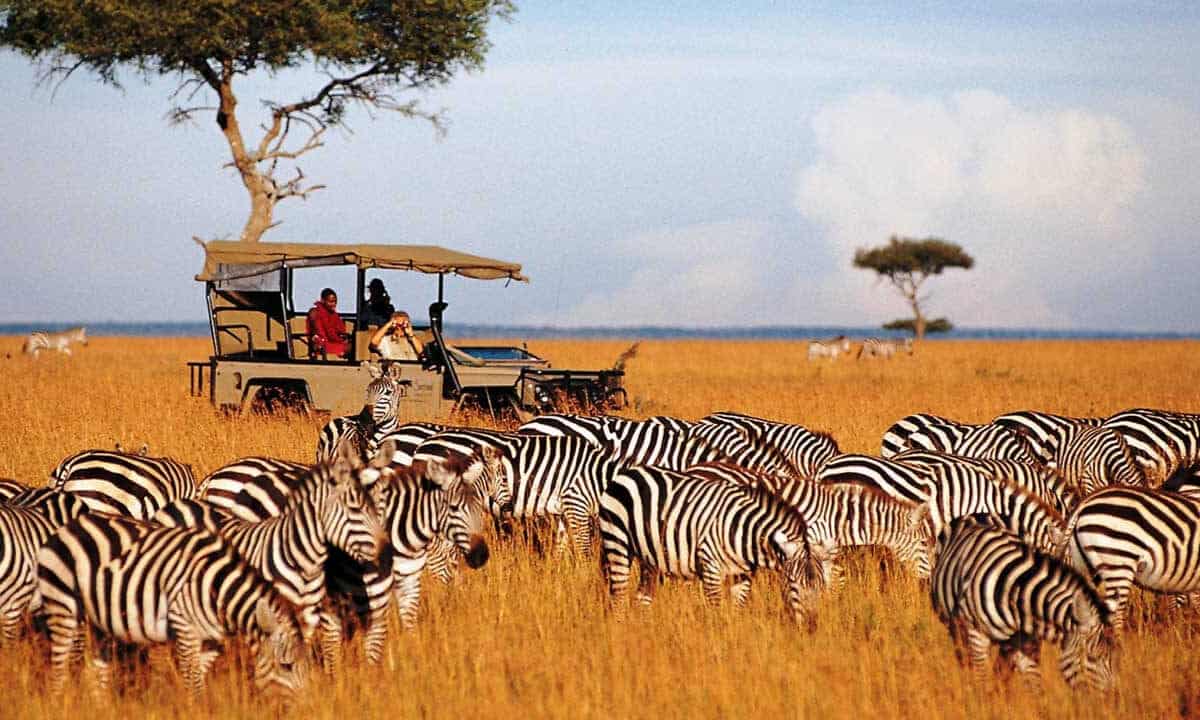 Saruni Wild Saruni Wild, Masai Mara, Kenya – Discover Africa
