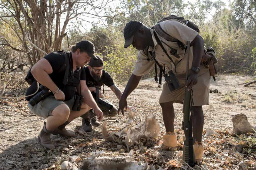 Is Zimbabwe Safe? Expert Guidance | Discover Africa
