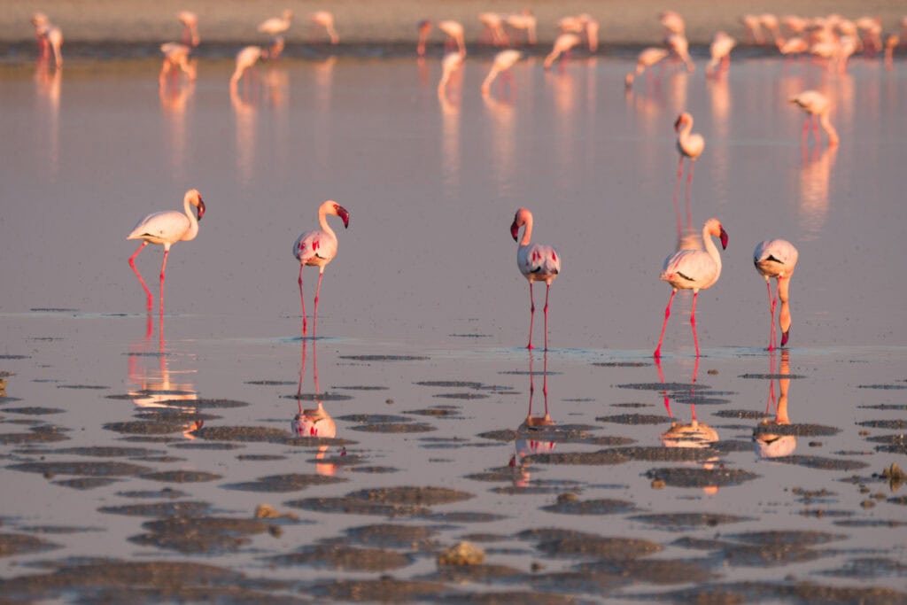Interesting facts about Botswana to know before you go