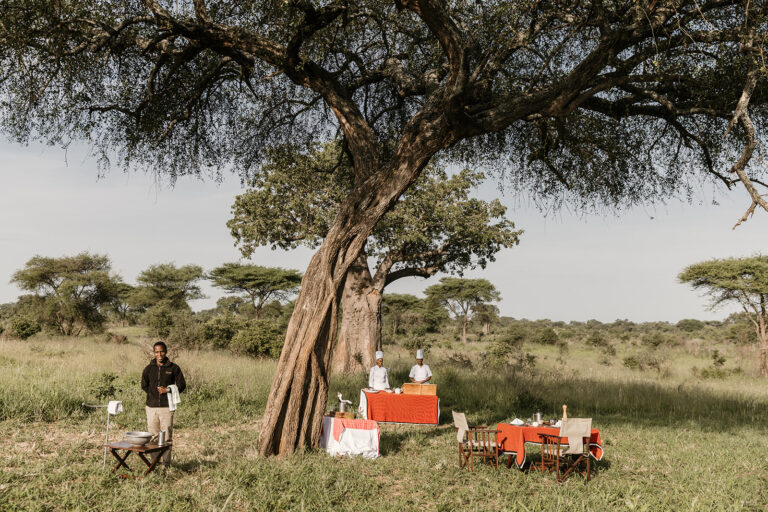 Elewana Tarangire Treetops Elewana Tarangire Treetops, Tarangire ...