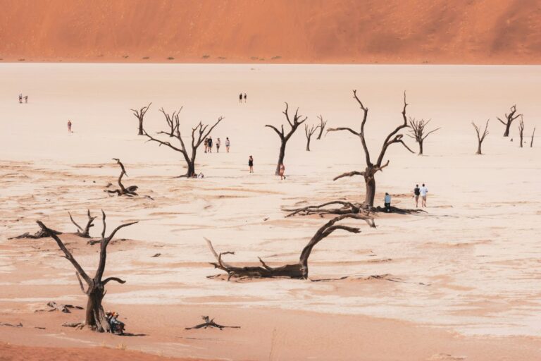 All You Need to Know About Eco-Tourism in Namibia – Discover Africa