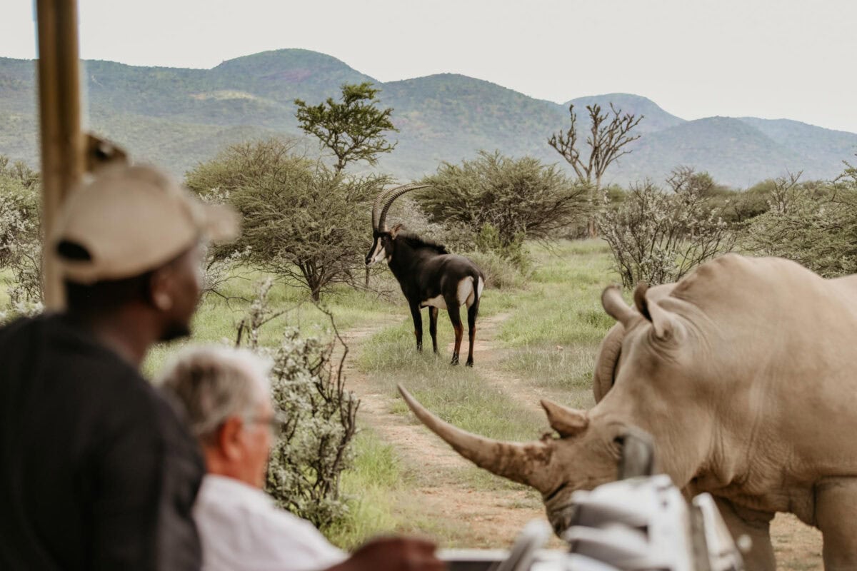 Okapuka Safari Lodge – Discover Africa