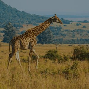 The Complete Guide to Landmarks & Monuments to Visit on a Holiday in ...