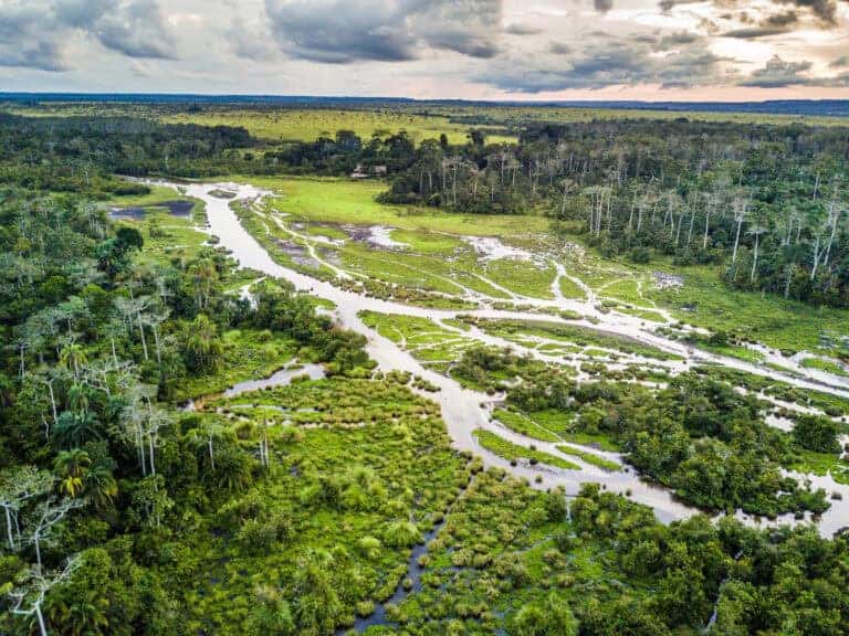 5 Facts About the Congo Basin | Discover Africa