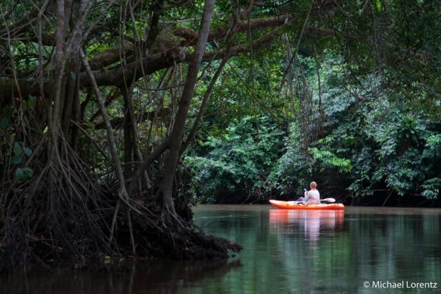 5 Facts About the Congo Basin | Discover Africa
