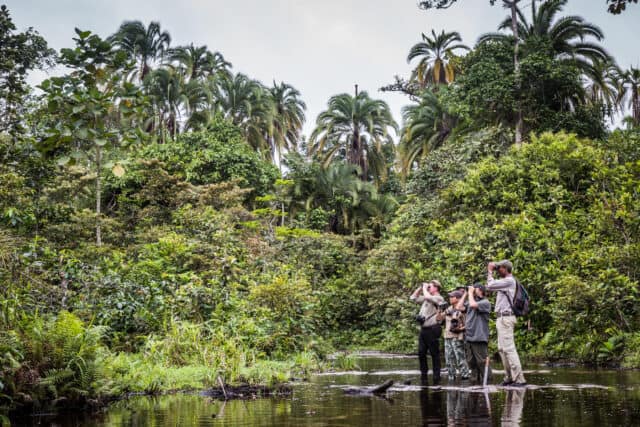 5 Facts About the Congo Basin | Discover Africa