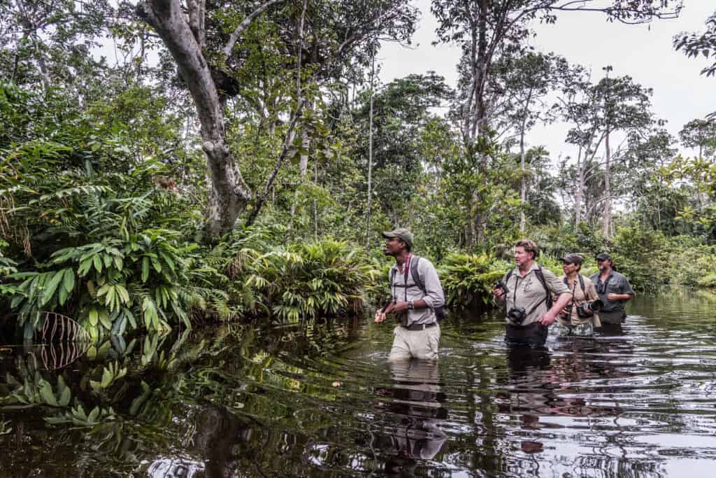 5 Facts About the Congo Basin | Discover Africa