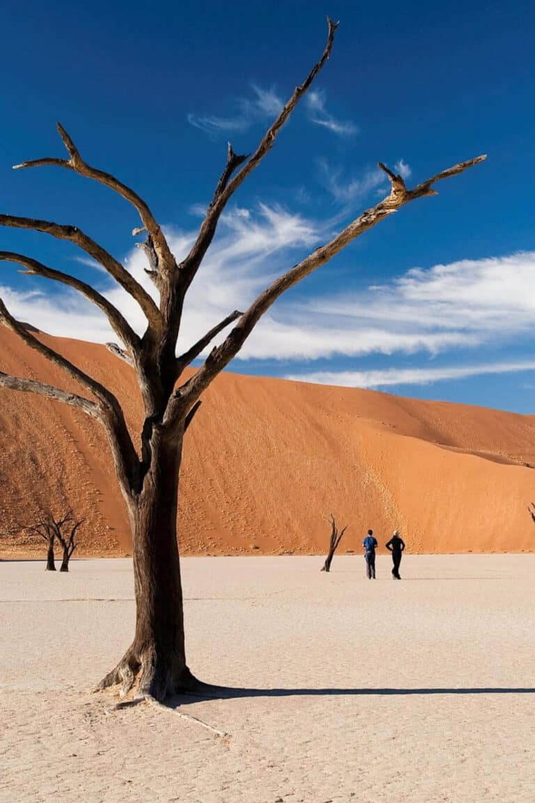 Sustainable Travel: Africa Safari Guide | Discover Africa