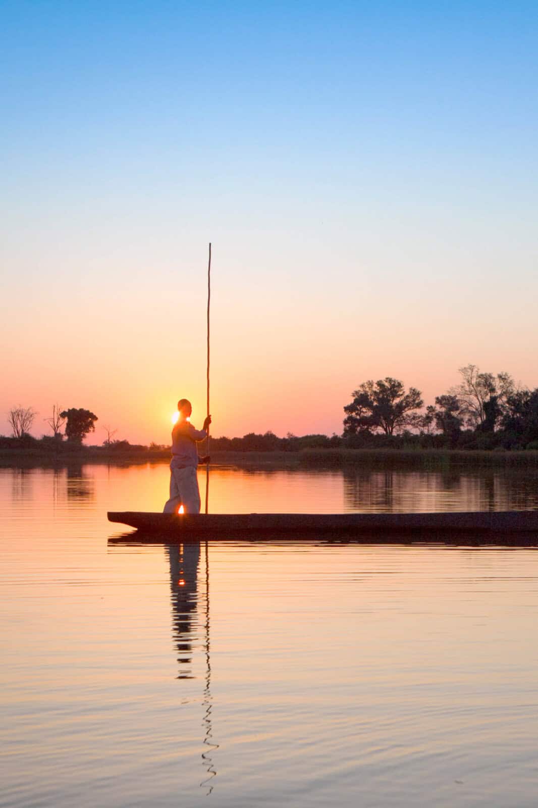Guide to Immersive Birdwatching Safaris | Discover Africa